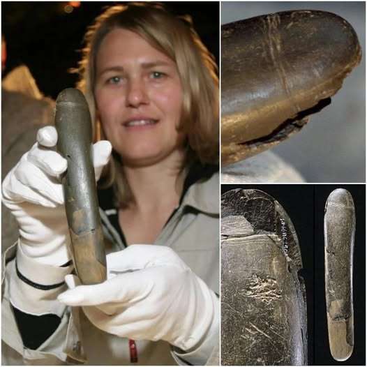 28,000-Year-Old Carved Phallus Unearthed in German Cave: A Unique ...