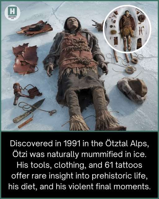 Unveiling the Enigma of Ötzi, the Iceman - A Glimpse into Europe's ...