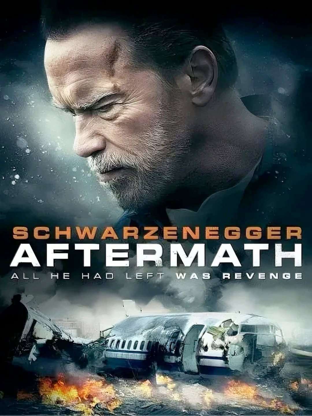 Aftermath (2017) - Netflix and Chill